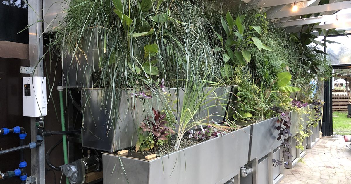 Innovative Grünwande zur Abwasser-Reinigung und Wiederverwendung - IÖB ...