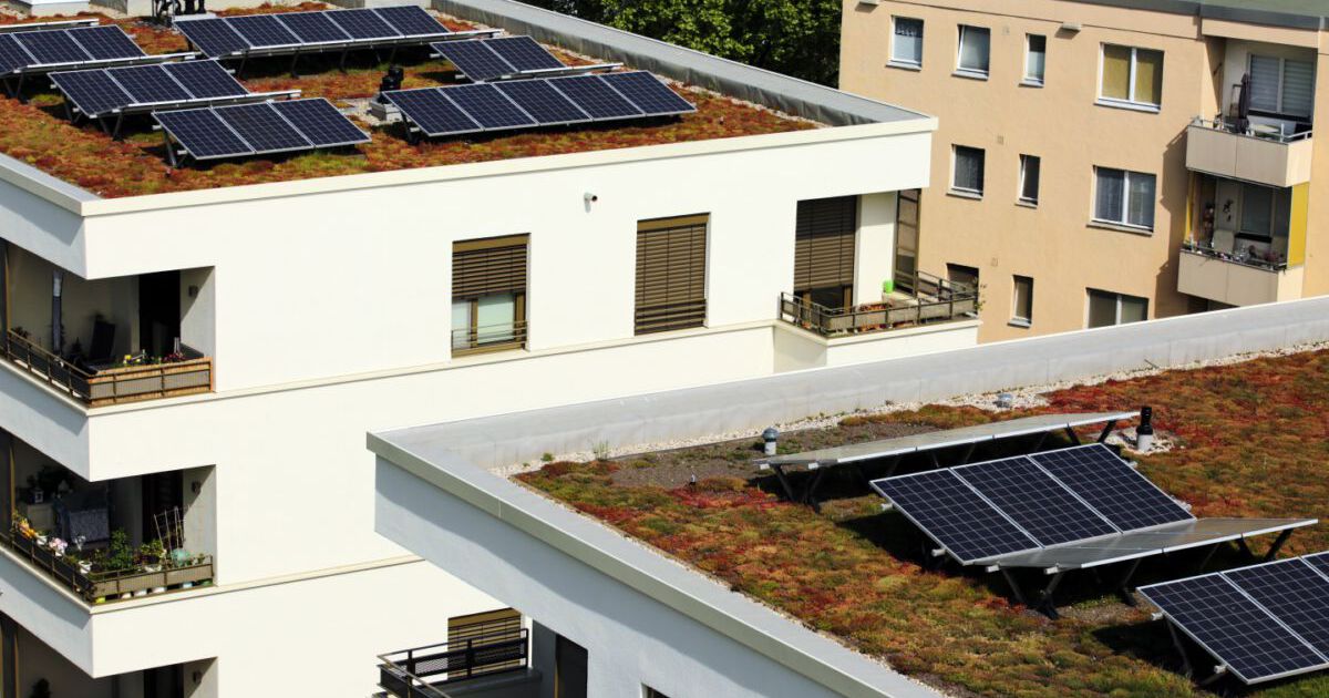 Solar WRB - Wenn Photovoltaik auf Dachbegrünung und Retention trifft ...